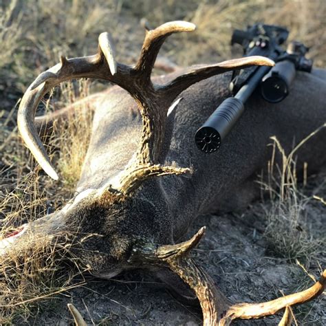 Deer Rifle Suppressor Feature National Deer Association