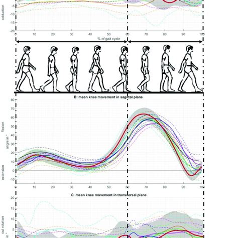 Physiological Knee Movement 3d Over One Gait Cycle Measured For