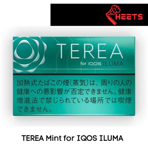 Terea Mint For Iqos Iluma Dubai Uae