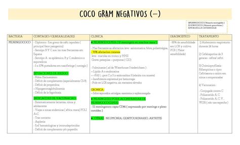 Coco Gram Negativos Asostizzo UDocz
