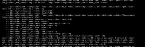 Boot Error On Raspberry Pi Issue Steffeydev Homebridge Hyundai Bluelink Github