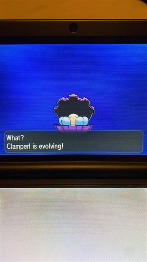 [gen 6] Finished The Shiny Clamperl Line Today In Pokemon X Was