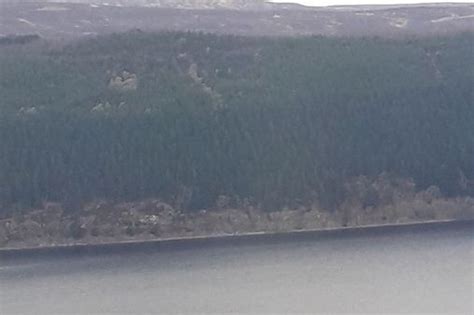 Nessie ‘sighting As Tourist Snaps Mysterious Shape With ‘huge Neck On