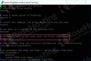 How To Deal With Huge And Growing Log Files In Linux RoseHosting