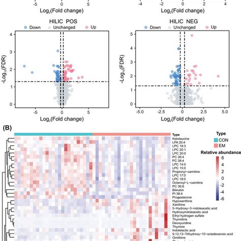 Analysis Of Differential Metabolites A Volcano Plot Of Metabolites