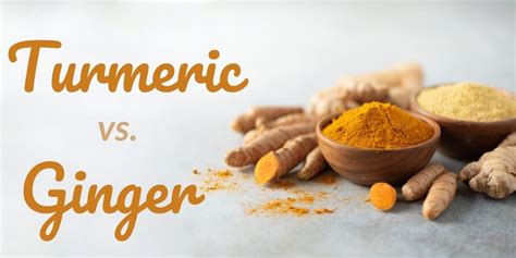 Bienfaits pour la santé du curcuma comparé au gingembre Intelligent Labs