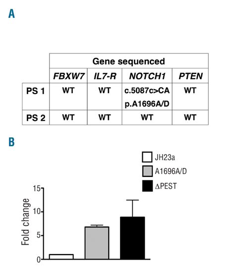 Patient Sample 1 Harbors A Rare Notch1 Mutation A Results From