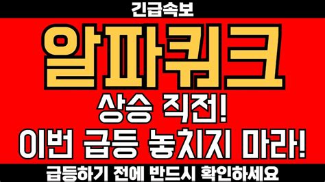 알파쿼크 상승 직전 이번 급등 놓치지 마라 Youtube