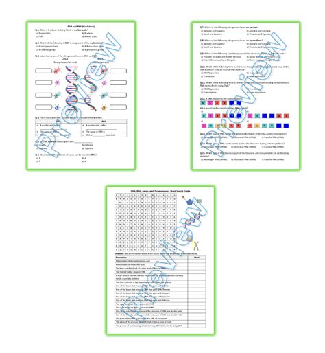 DNA And RNA Worksheet Puzzle Distance Learning Teaching Resources