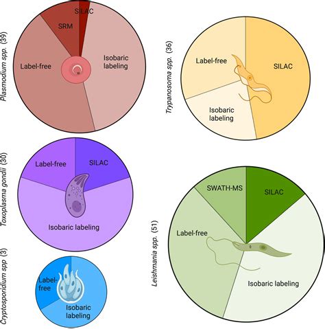 Frontiers Paving The Way Contributions Of Big Data To Apicomplexan And Kinetoplastid Research