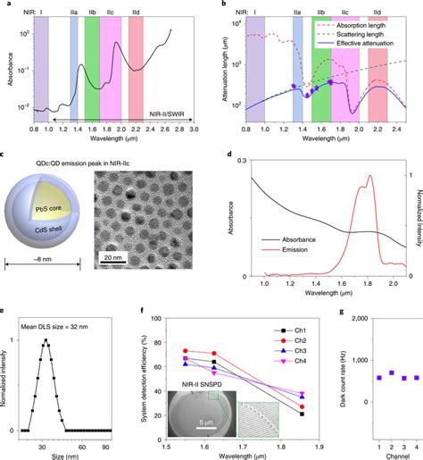 Lead Sulfide Qds And Superconducting Nanowire Single Photon Detectors Download Scientific
