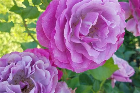 Troubleshooting Sex Cerebral Sexuality