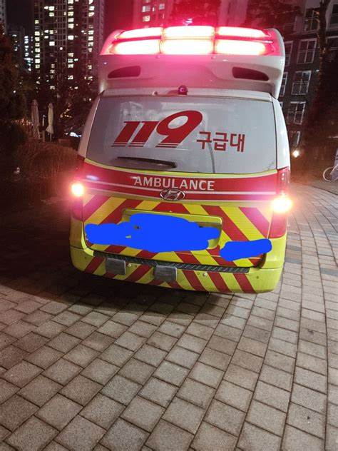 칰x 경찰차 2대 구급차1대 후기 치지직 에펨코리아