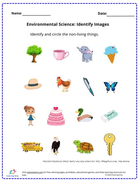 Environmental Science Identify Images Free Printable Worksheet