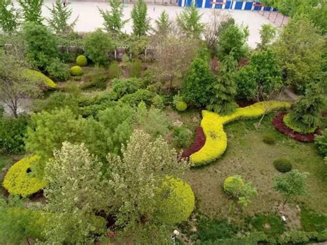 植树节挥锹添绿美校园 河北保定外国语学校