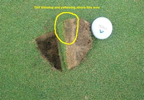 Unknown On A4 Bentgrass Pace Turf Photo Gallery