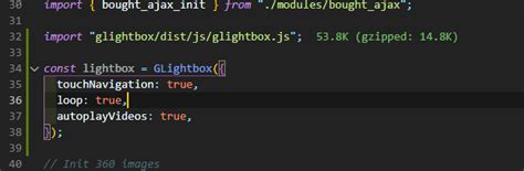 Uncaught Referenceerror Glightbox Is Not Defined · Issue 224 · Biati