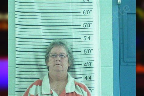 Felicia Spinks — Stephens County Jail Bookings