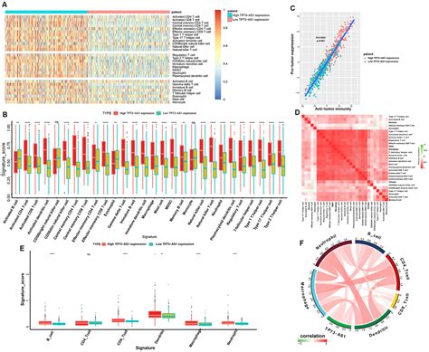 Long Non Coding Rna Tp73 As1 Is A Potential Immune Related Prognostic