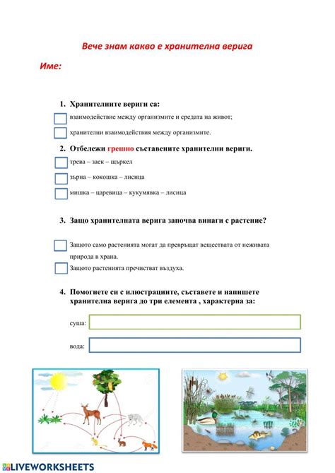 Хранителна верига Ангелина Генчева Live Worksheets