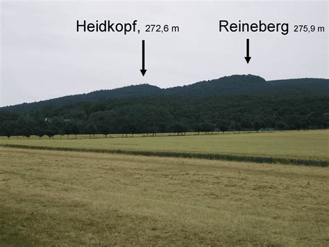 Reineberg - Wikiwand