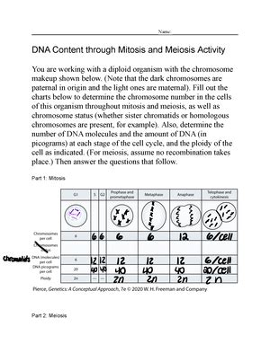 Lecture DNA Structure Lecture DNA Structure Stable Source Of Info A Ability