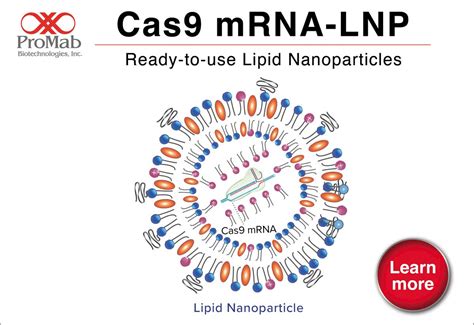 The Scientist Auf Linkedin Cas9 Crispr Mrna Lnp