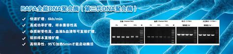 新海基因——分子生物工具酶专家