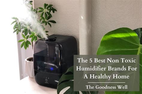 The 5 Best Non Toxic Humidifiers For A Healthy Home The Goodness Well