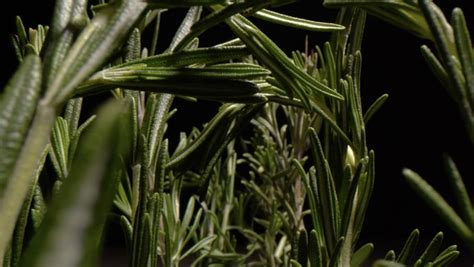 The 1 Herb To Decrease Inflammation According To Dietitians