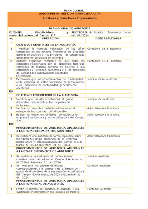Esquema De Plan Global De Auditoria Plan Global Auditores En Gestion Financiera Ltda Auditores