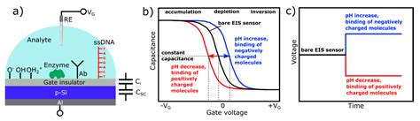 Capacitive Field Effect Eis Chemical Sensors And Biosensors A Status Report