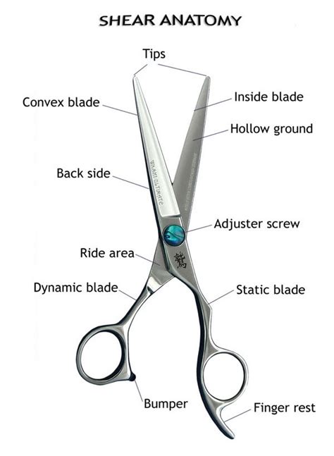 Schematic Hair Clippers