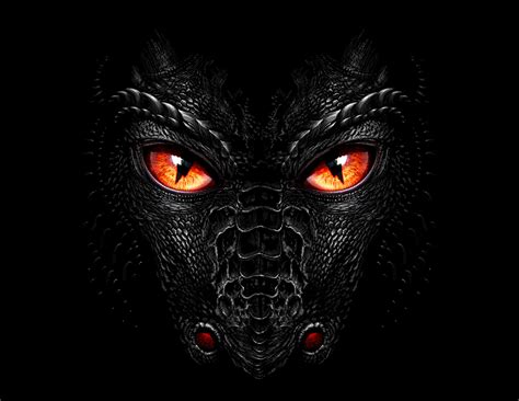 Dragon Energy Drink :: Behance