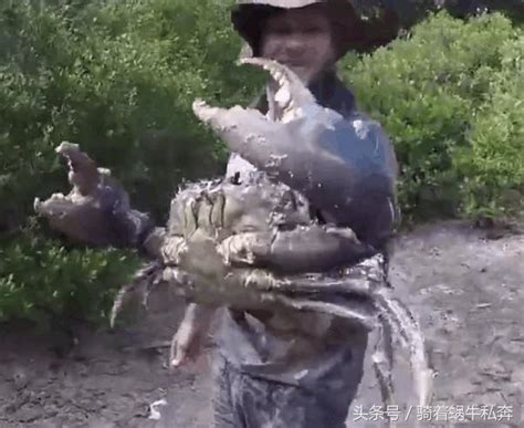 小伙野外發現奇異洞穴，伸手進去後卻抱出來這個大傢伙 每日頭條
