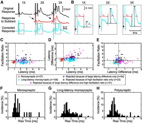 identifying monosynaptic epsps a the responses to the second and