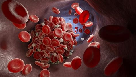 Adh Hormonu Nedir Bilgiustam