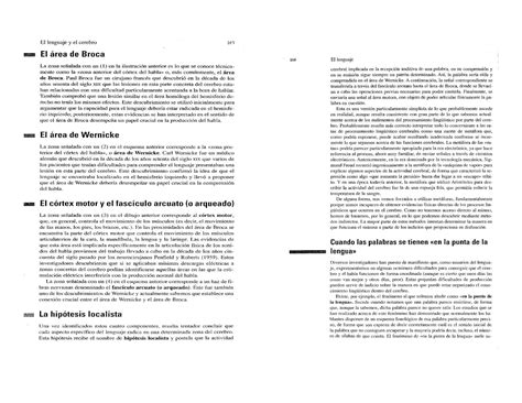 Solution Lenguaje Y El Cerebro Imprimir Studypool