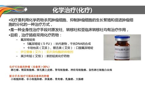 肿瘤及化疗基础知识 word文档在线阅读与下载 免费文档