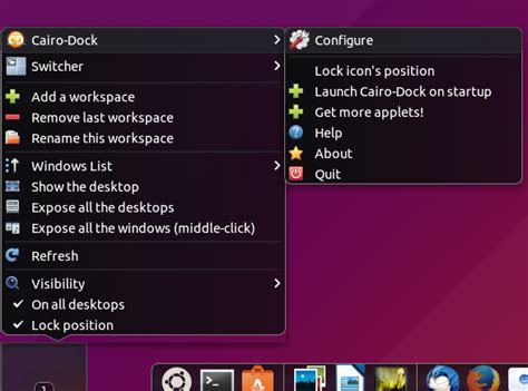 Cairo Dock Is A Powerful Customizable Desktop Agnostic Application Launcher Unixmen
