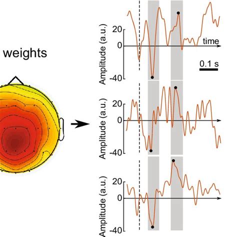 Eeg Informed Modelling A The Schematic Diagram Of Extracting Download Scientific Diagram