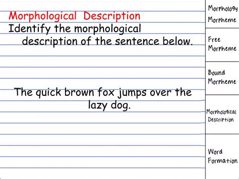 Morphology Linguistics Pptx