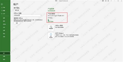 Project 2021 Win版本•中文英文•软件安装包下载 安装教程步骤•win系统•项目管理、甘特图绘制软件 鹿鸣