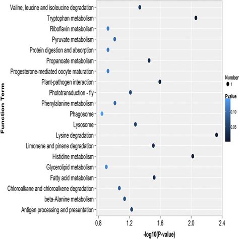 Kegg Analysis Proteins Differentially Expressed In A Flavus Resistant