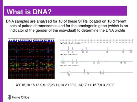 PPT Introduction To The National DNA Database NDNAD Ethics Group PowerPoint Presentation ID