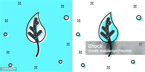 녹색과 흰색 배경에 격리 된 검은 줄 잎 아이콘 나뭇잎 기호 신선한 천연 제품 기호 임의동적 모양 벡터 0명에 대한 스톡 벡터