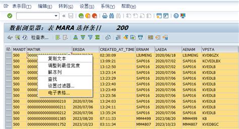 Sap Abap 数据导出sap导出excel Csdn博客 Sap Abap 数据导出sap导出excel Csdn博客