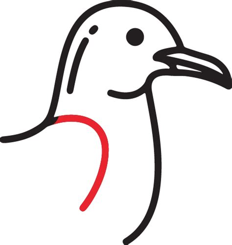 Solar Panel Bird Protection No1 Expert Gc Pest Control