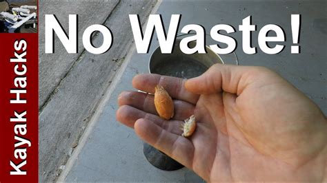 How To Preserve Sand Flea Bait For Future Fishing Aka Mole Crabs