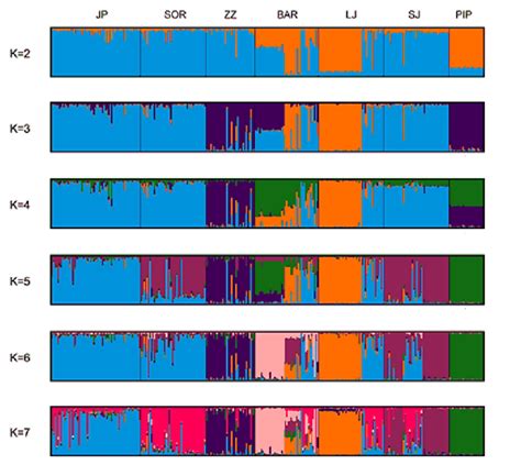 clustering of sheep breeds by structure download scientific diagram